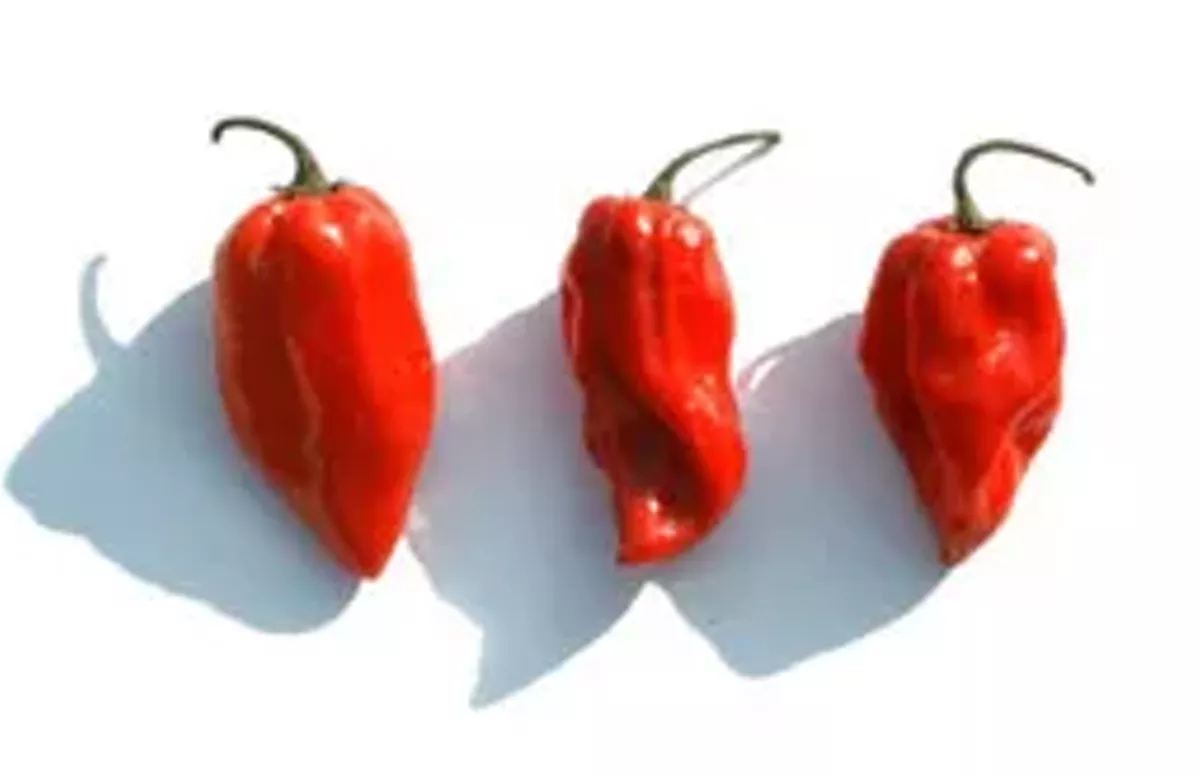 Get your red hots